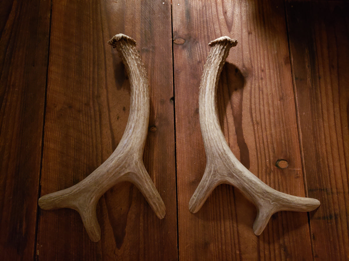 Large Antler Handle Set, Shed Mule Deer, Custom Ordered for Double Doo ...