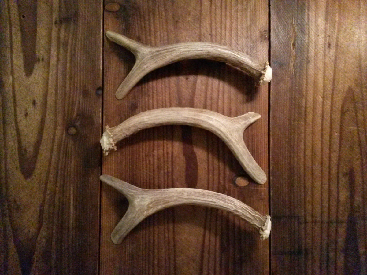 Forked Deer Antler Handle Pull – Antler Artisans